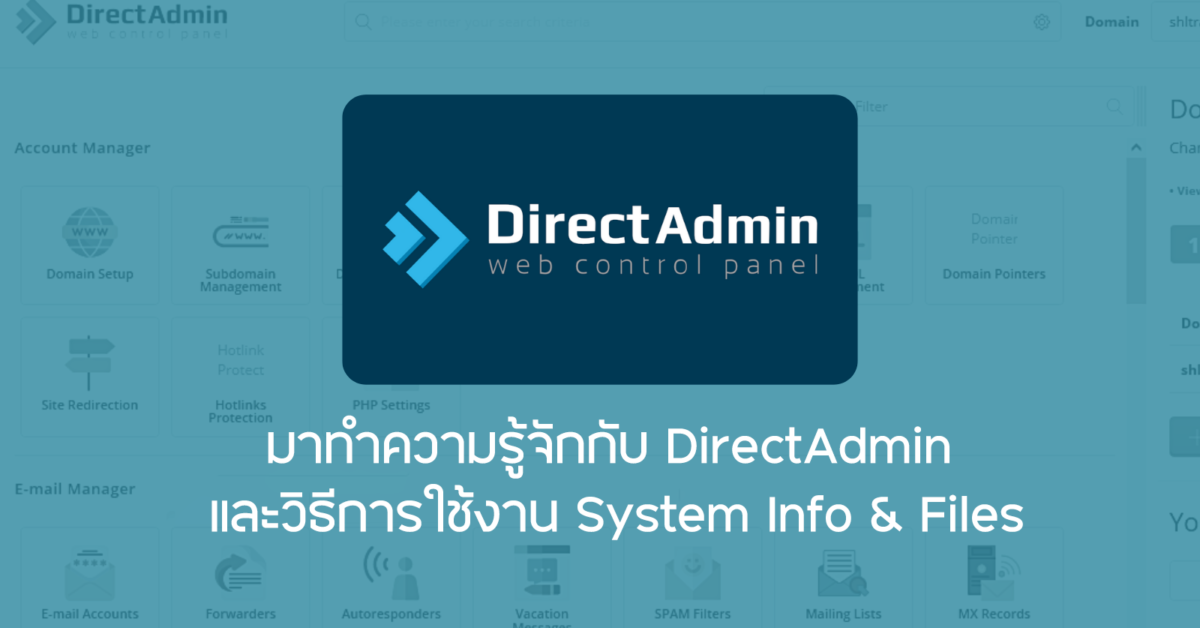 มาทำความรู้จักกับ DirectAdmin และวิธีการใช้งาน System Info & Files - WPThaiuser by Ruk-Com