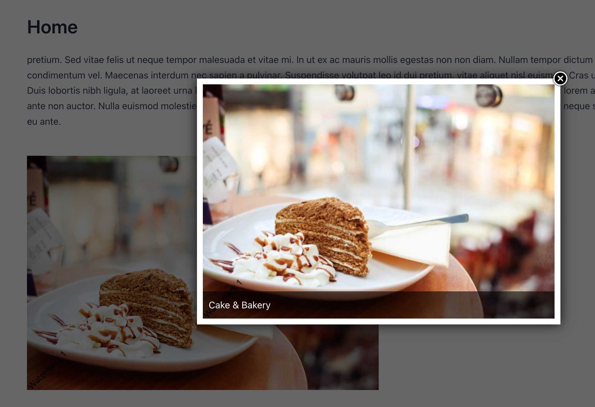 Easy FancyBox ปลั๊กอินไลท์บ็อกซ์ยอดนิยม - WPThaiuser by Ruk-Com